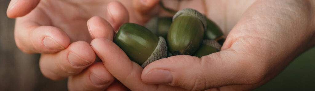 New Patient Registration - NVIH